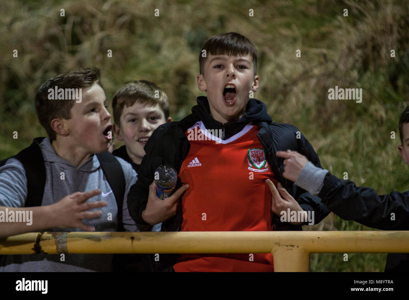 Young fans of Wales show off their colours against England C at Jenner ...