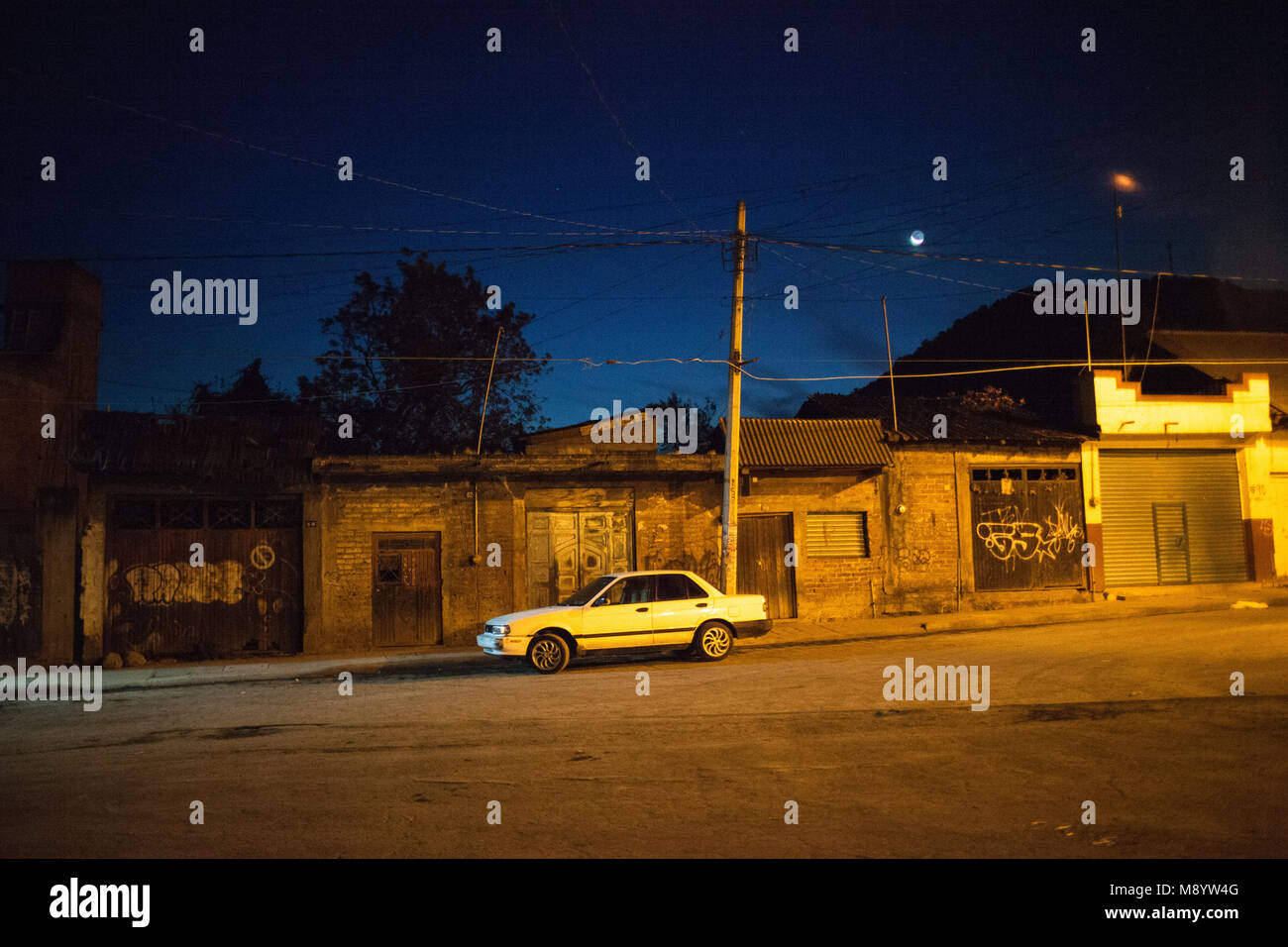 Forest crime scene hi-res stock photography and images - Alamy