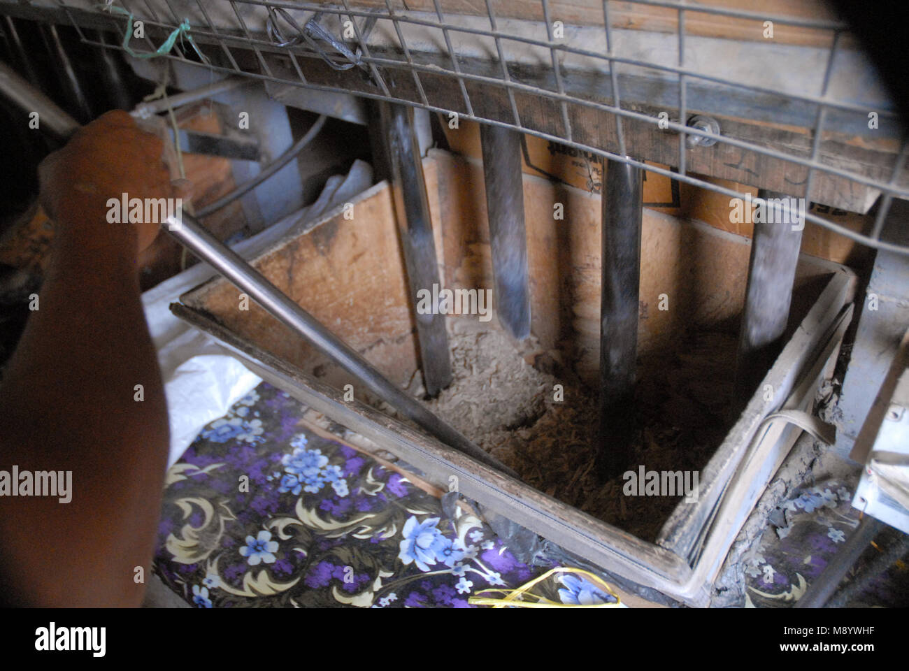 Kava manufacture at processing plant, Lautoka, Fiji Stock Photo - Alamy