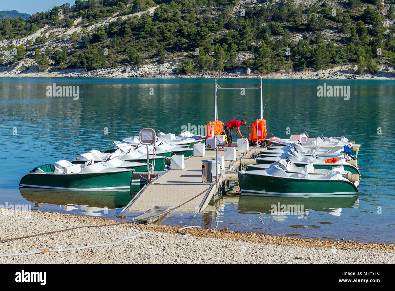 This white phase adult Red-footed Booby lingered for almost 2 weeks in ...