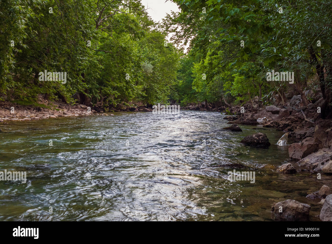 Turkish fish hi-res stock photography and images - Alamy