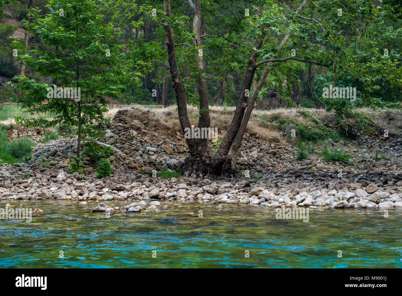Typical habitat of the Turkish Fish-Owl in Taurus Mountain Stock Photo ...