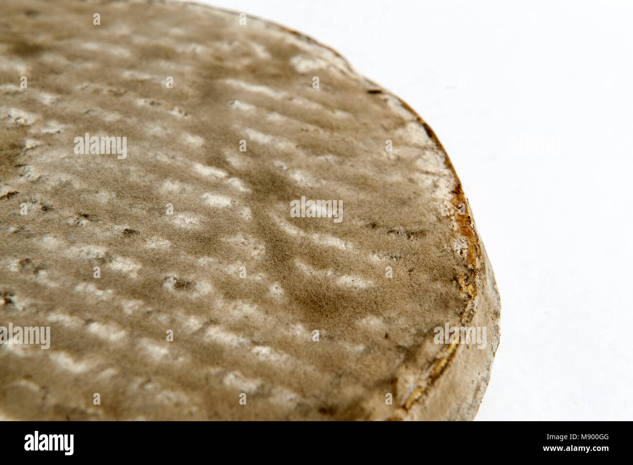 Saint-Nectaire French cheese Stock Photo - Alamy