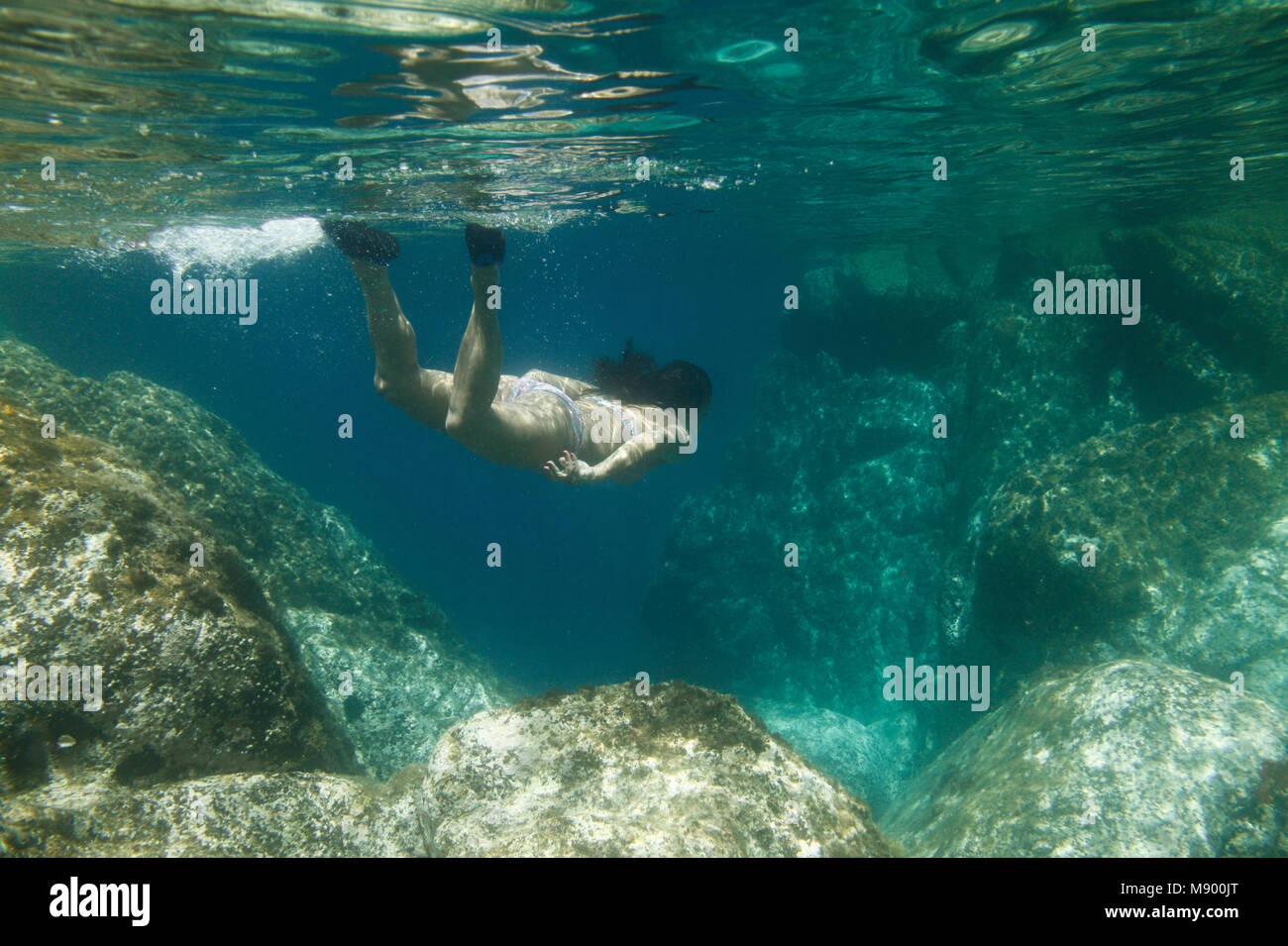 Diving girl underwater hi-res stock photography and images - Alamy