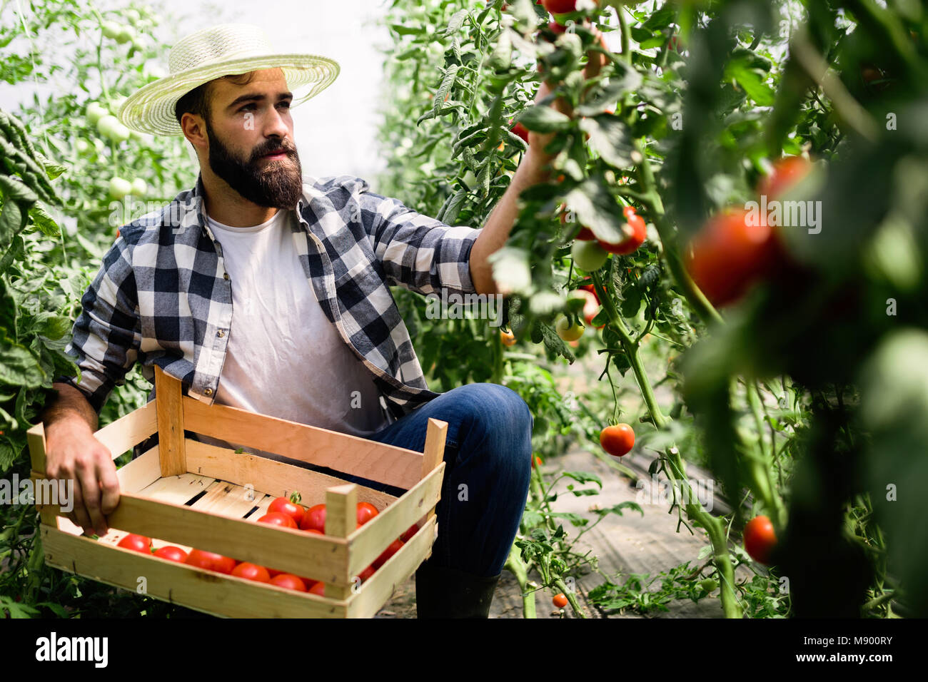 Eco farmer agriculture hi-res stock photography and images - Alamy