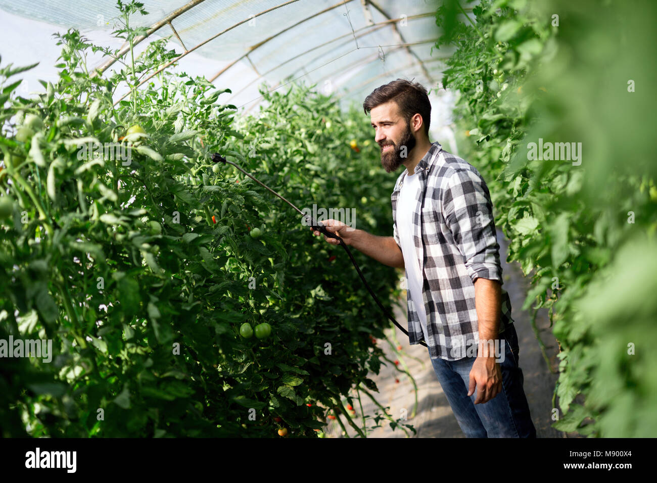 Young farmer protecting his plants Stock Photo - Alamy