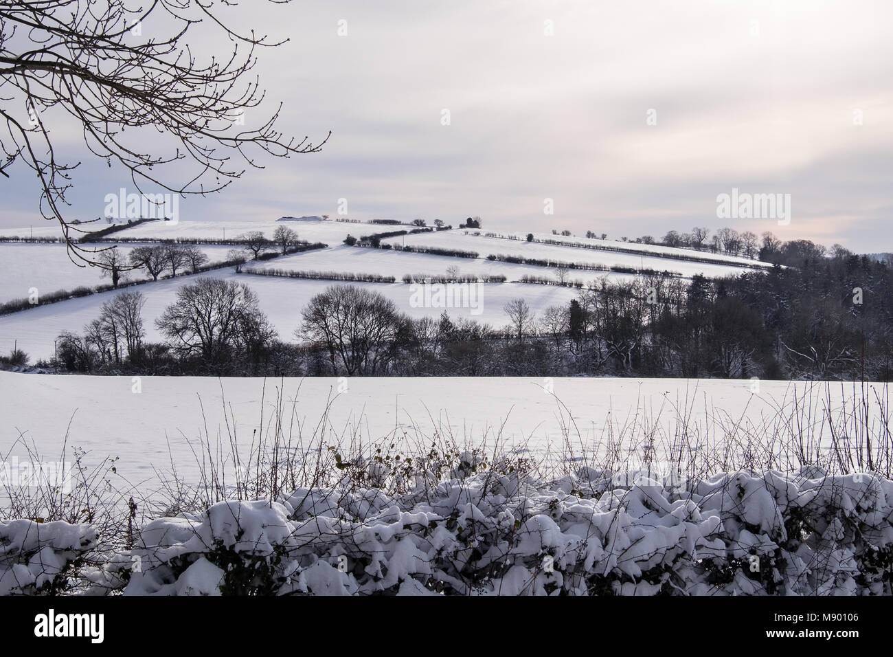 Winter hillside snow scene Stock Photo - Alamy