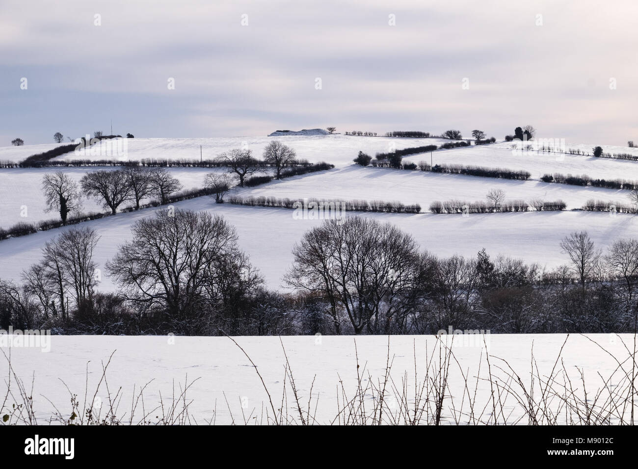 Winter countryside fields covered in snow Stock Photo - Alamy