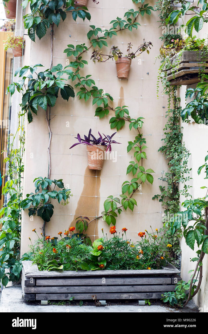 Green plants and flowers on wall of house Stock Photo - Alamy