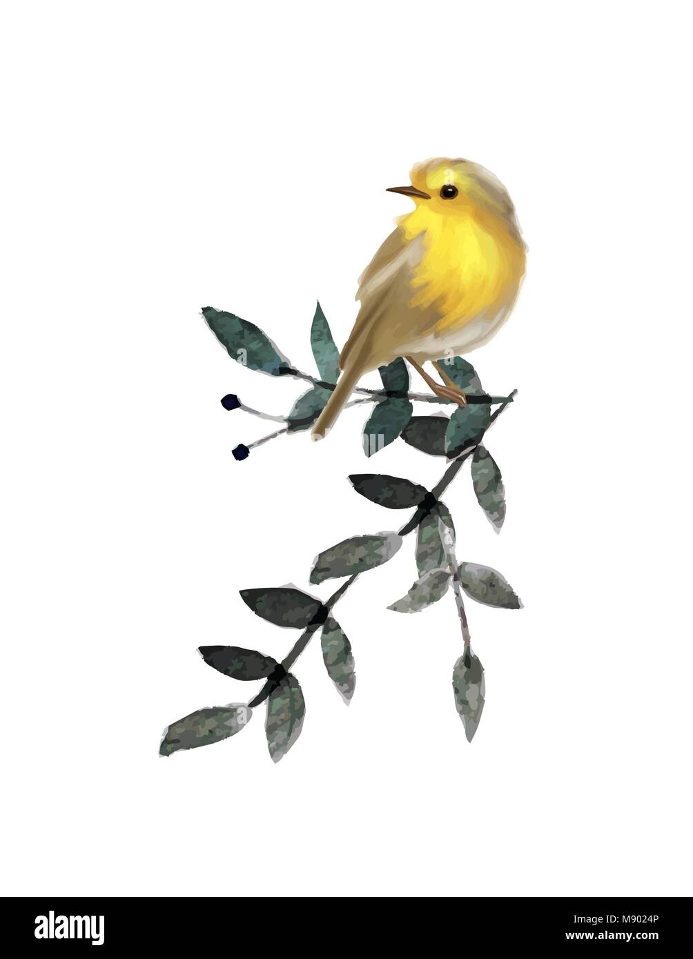 Small cute bird on branch with leaves. Vector fluffy bird Stock Vector ...