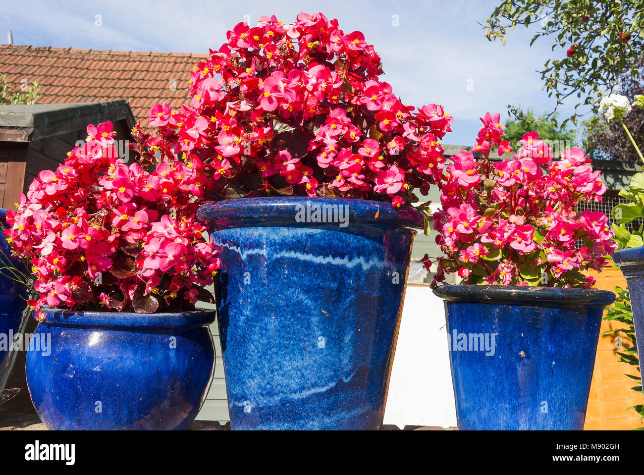 Colourful flowers in planter hi-res stock photography and images - Alamy
