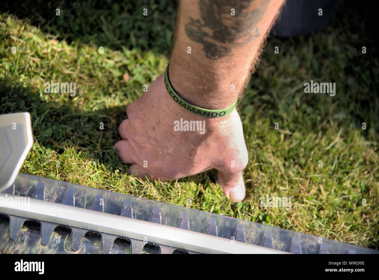 Royal Marine in the garden using power tools and a ladder Stock Photo ...