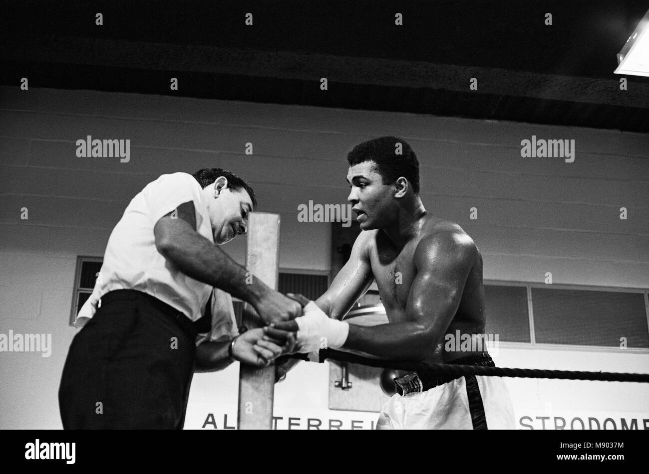 Muhammad Ali and Ernie Terrell met to end the confusion about who was ...