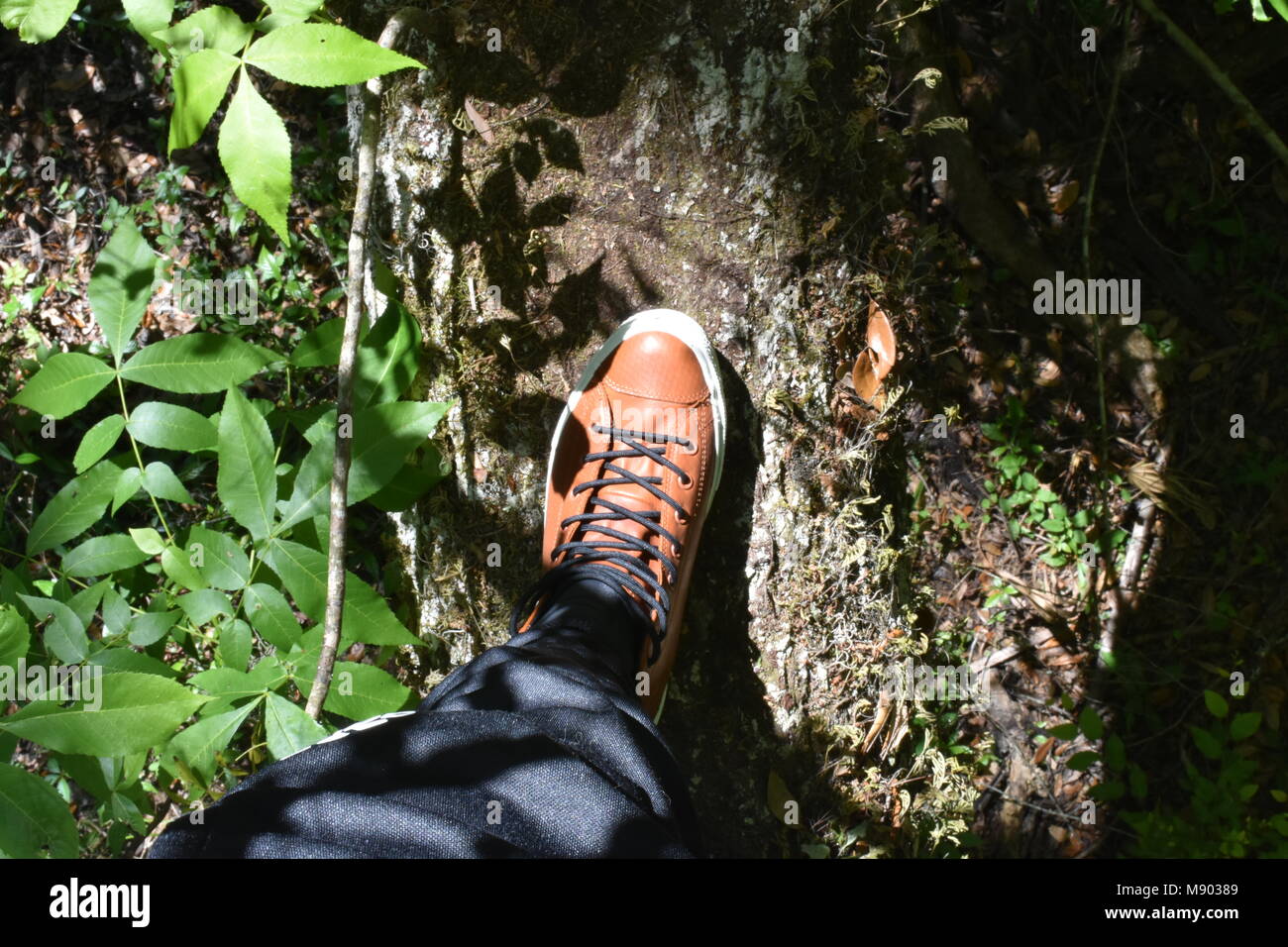 Getting lost hi-res stock photography and images - Alamy