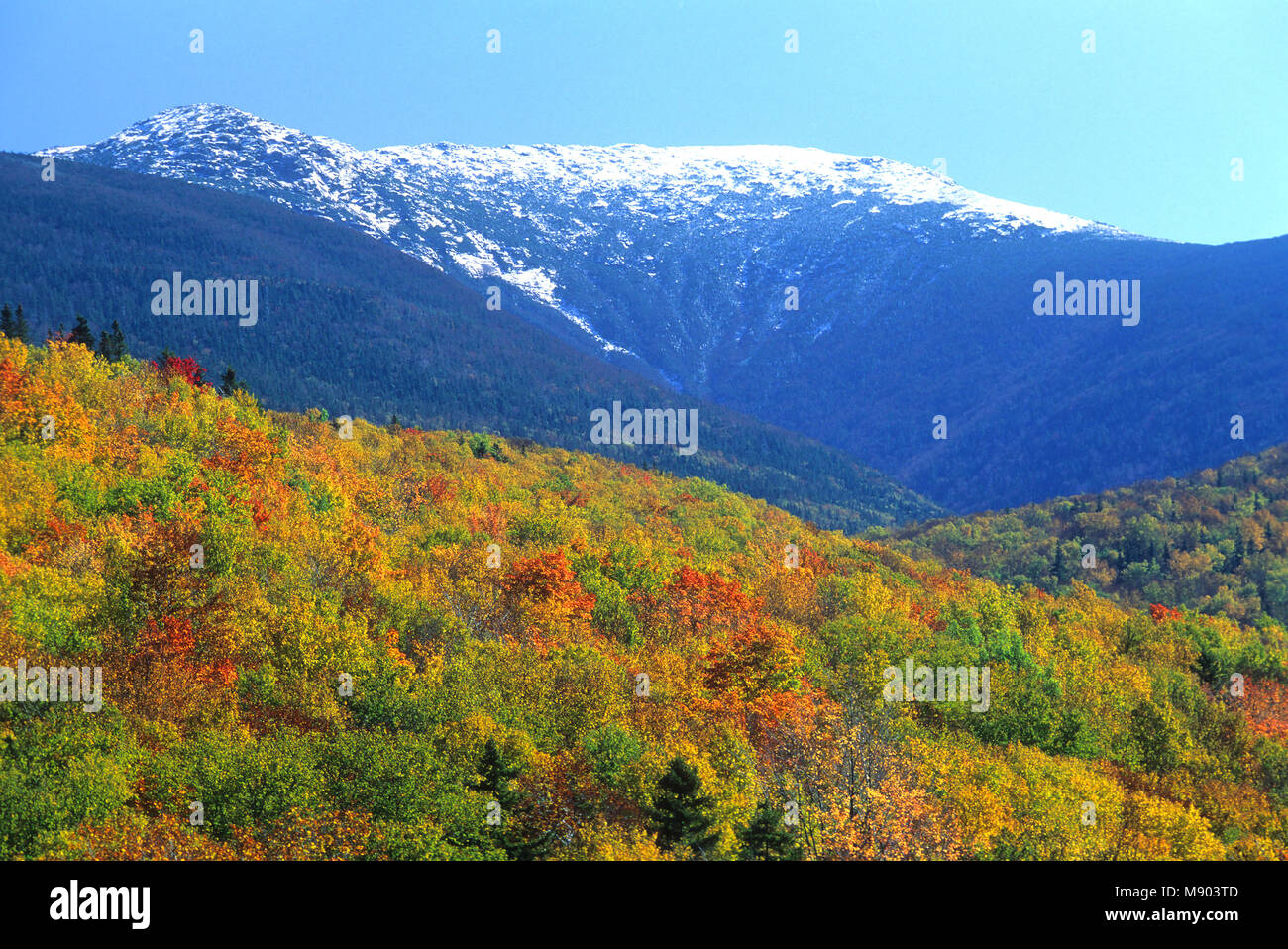 Presidential Range High Resolution Stock Photography and Images - Alamy