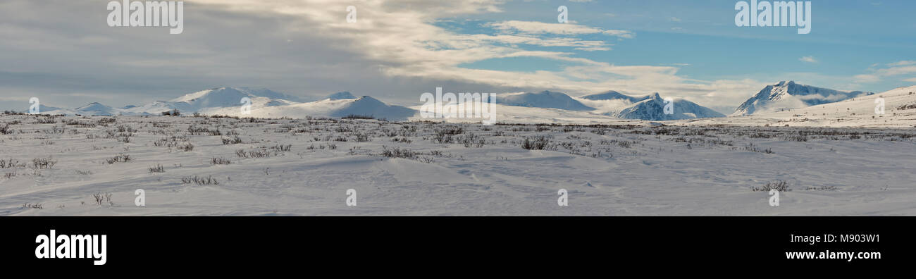 Snohetta dovrefjell norway hi-res stock photography and images - Alamy