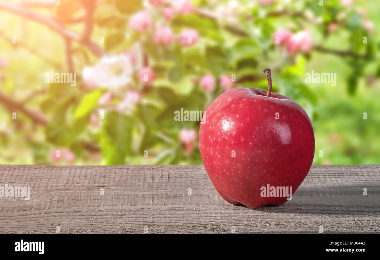 Apple wood texture hi-res stock photography and images - Alamy