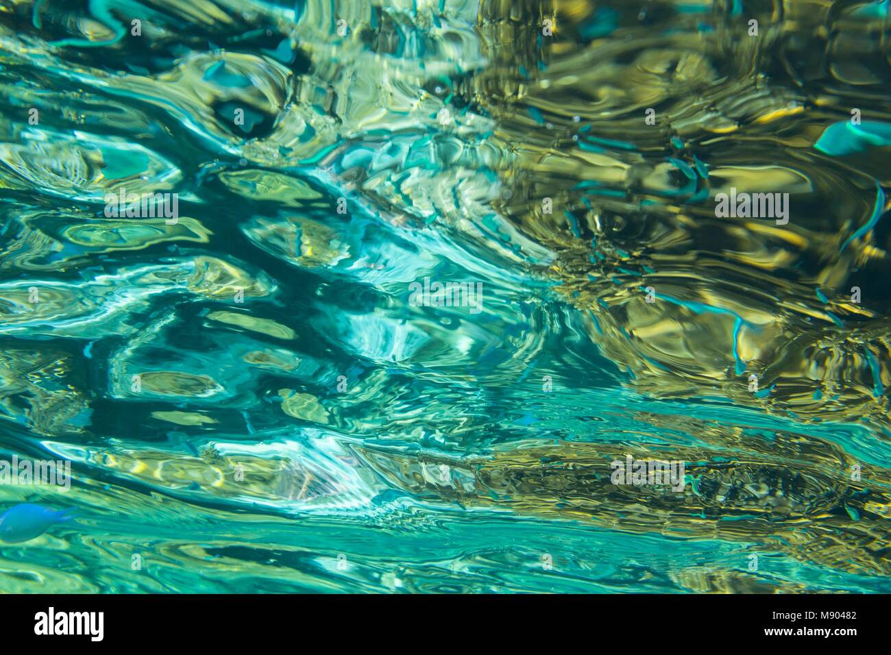 Nice underwater view on an ocean surface Stock Photo - Alamy