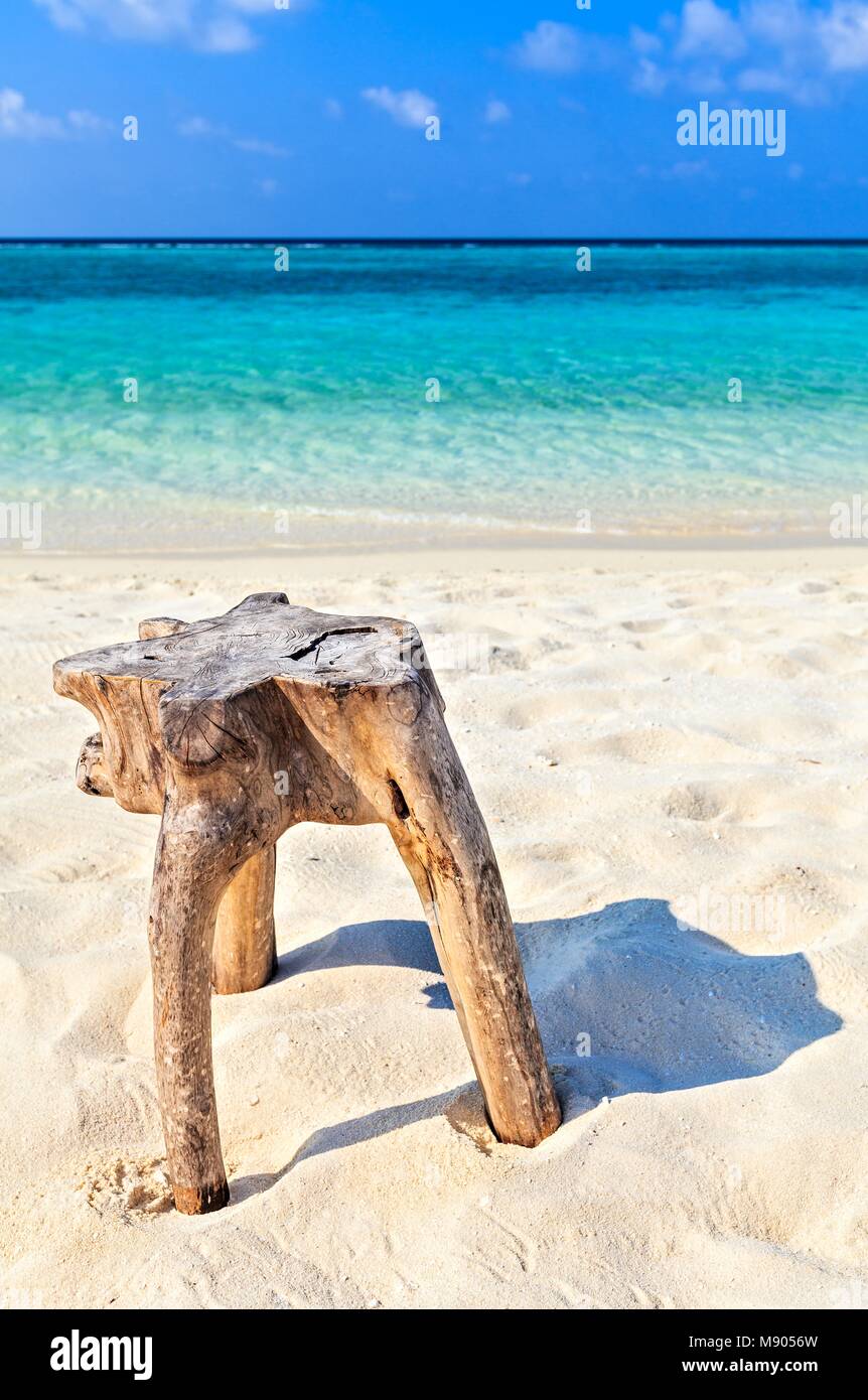 Original beach table is made from trunk of tree, Maldives, The Indian ...