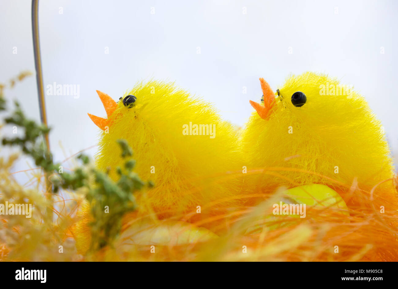 Easter decorations. On the picture two chickens with eggs in the brood ...