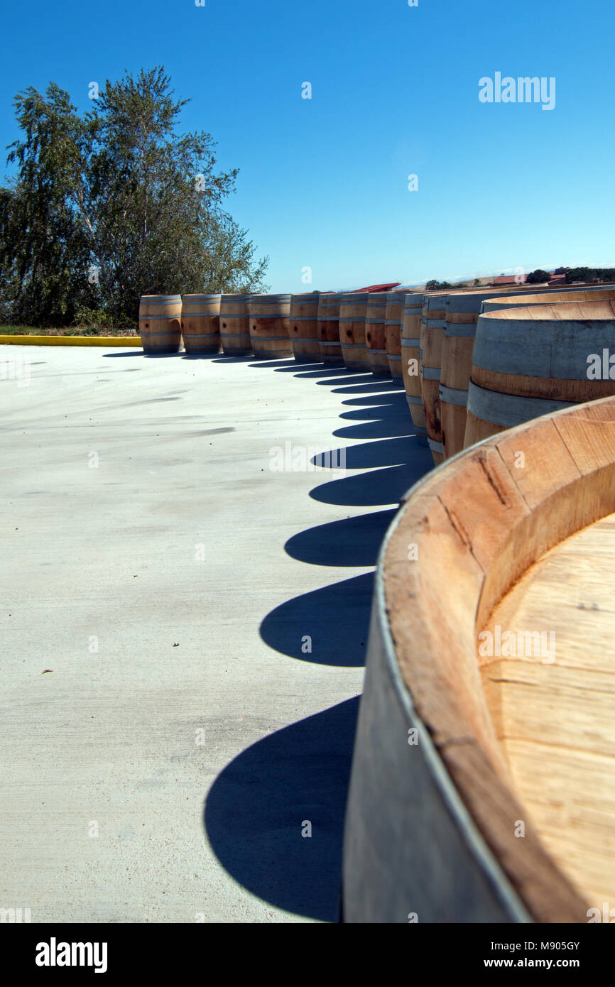 Oak barrels tree hi-res stock photography and images - Alamy