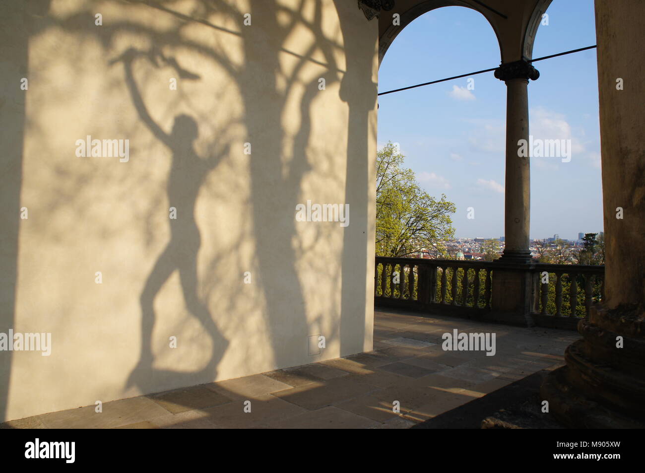 Shadow of a male figure and a tree Stock Photo - Alamy