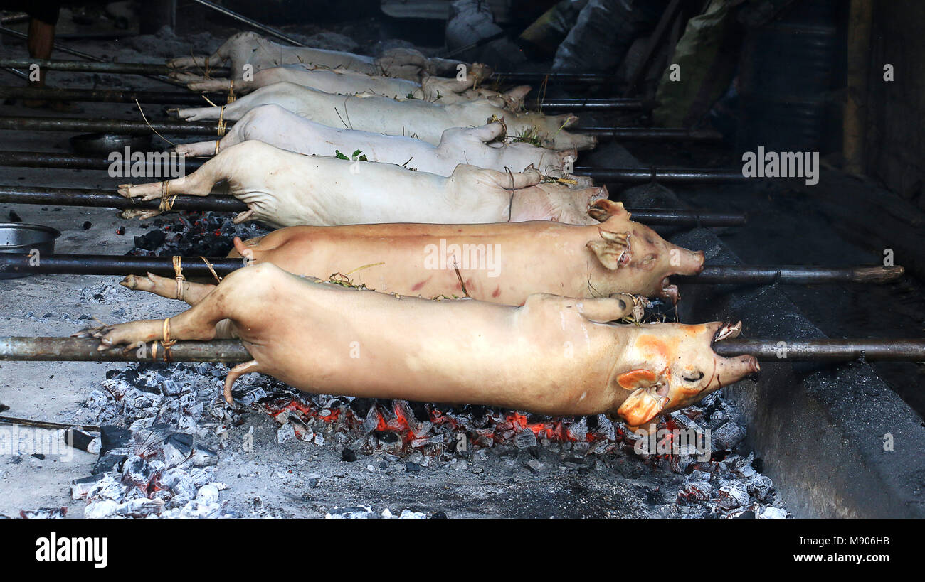 Raw Lechon being roasted in charcoal pit. It is a pork dish prepared ...