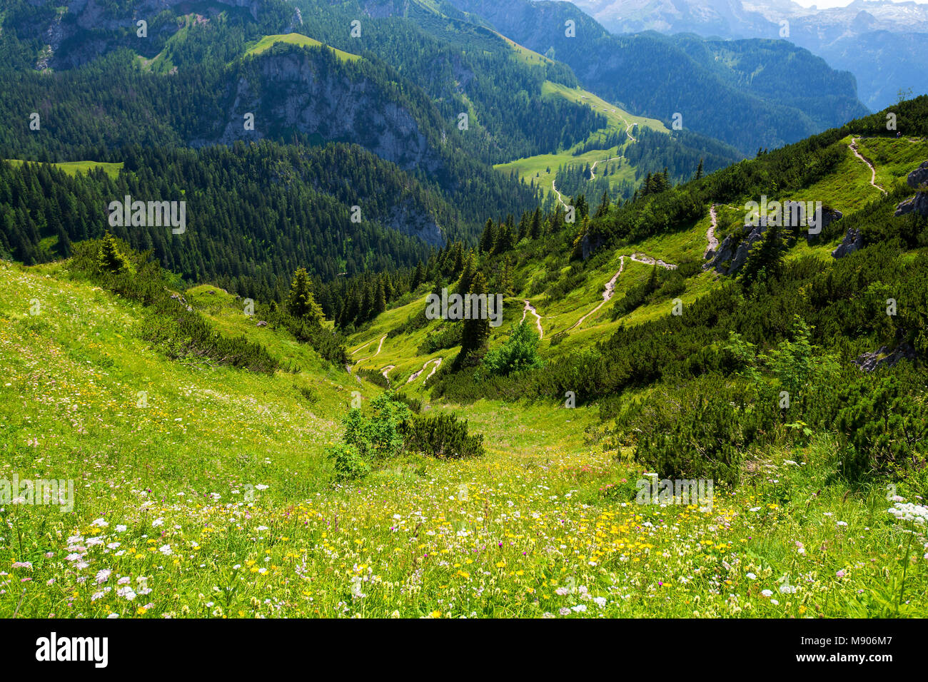 Descending alpine meadow in hi-res stock photography and images - Alamy
