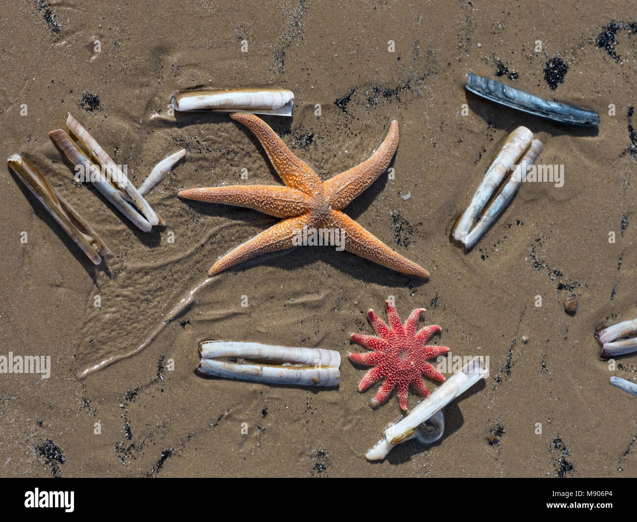 Maritime space hi-res stock photography and images - Alamy