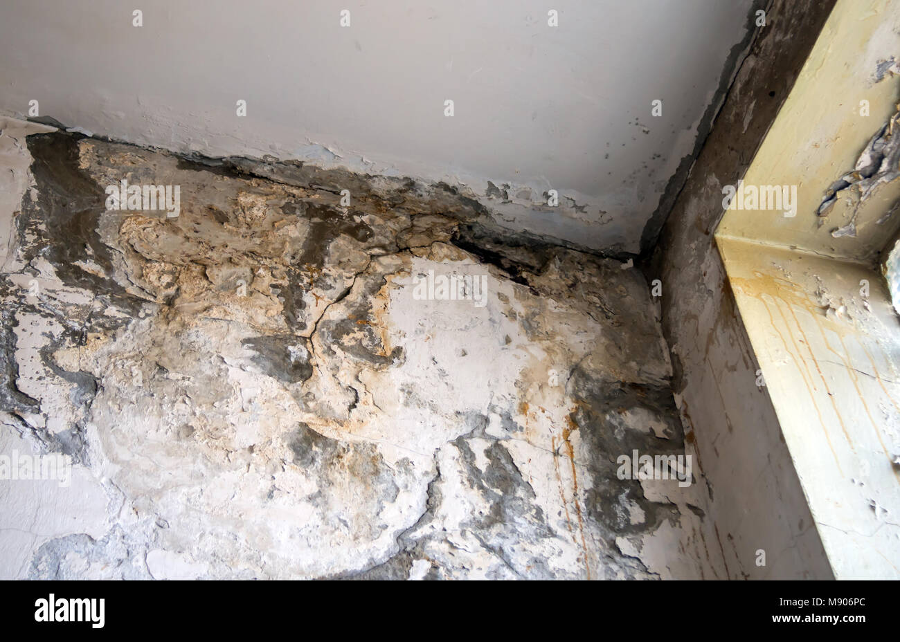 Traces of mold hi-res stock photography and images - Alamy