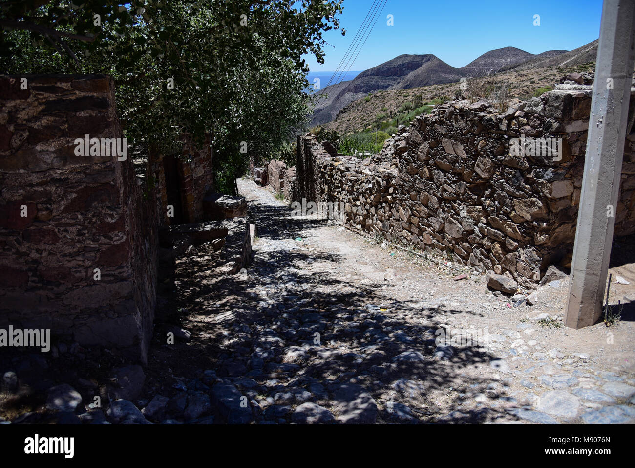 Real de 14 Stock Photo - Alamy