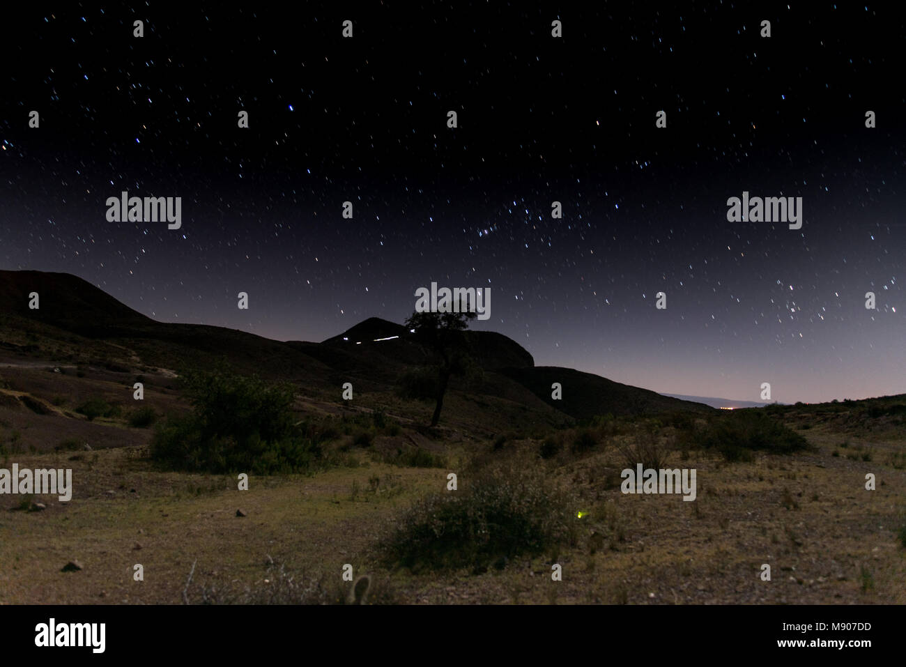 Real de 14 by night Stock Photo - Alamy