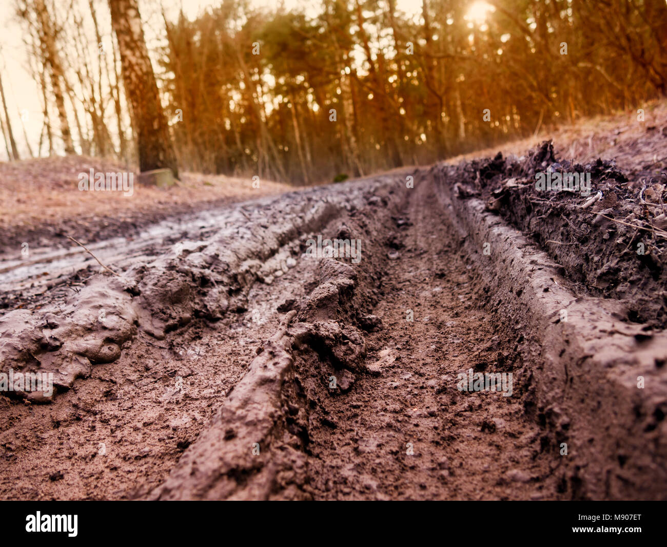 The track in the mud on the village dirt road Stock Photo - Alamy