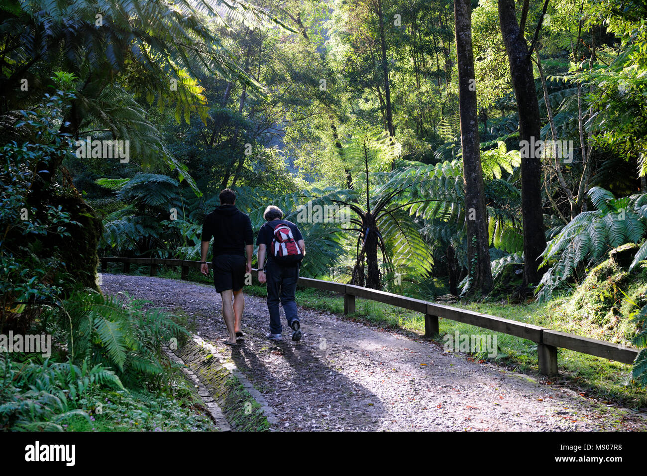 Azores men hi-res stock photography and images - Alamy