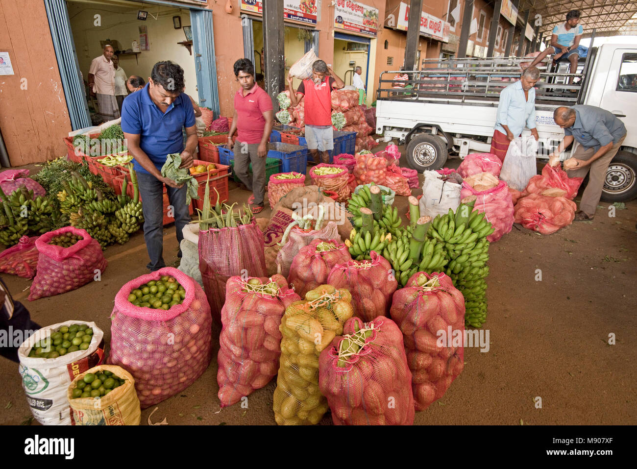 Wholesalers Of Vegetable