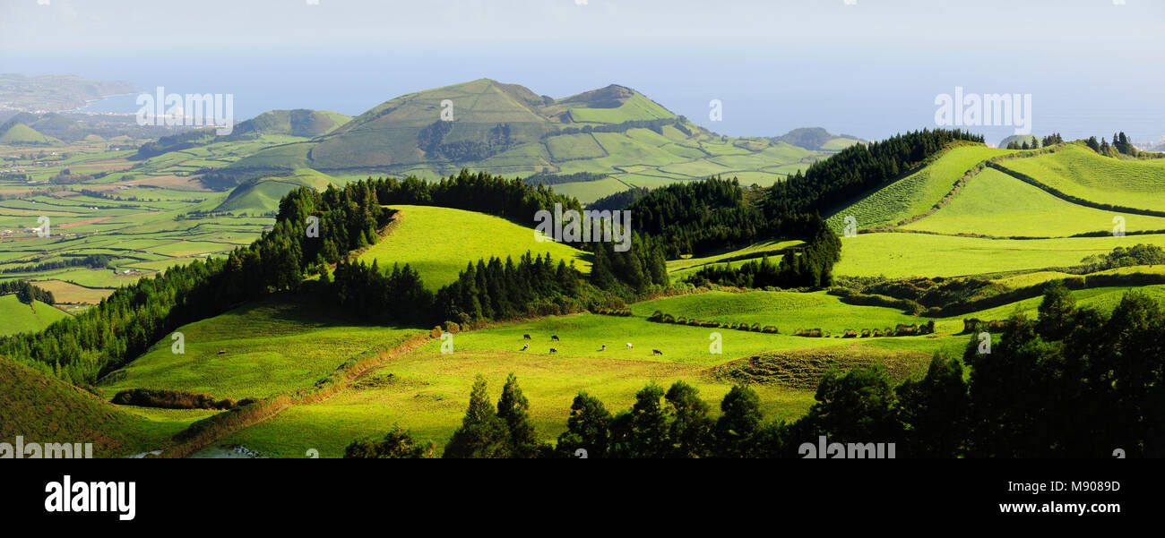 Volcanic craters, São Miguel island. Azores islands, Portugal Stock ...