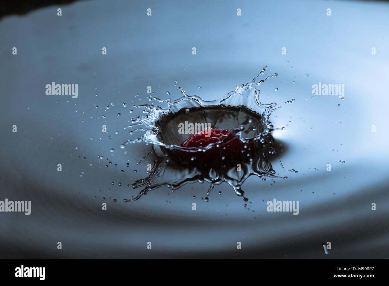 Raspberry splashing into water Stock Photo - Alamy