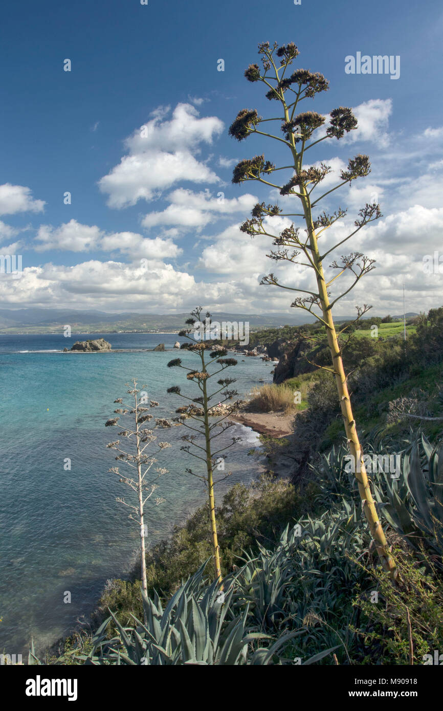View across Chrysochous Bay near Polis and the Akamas peninsula, Paphos ...