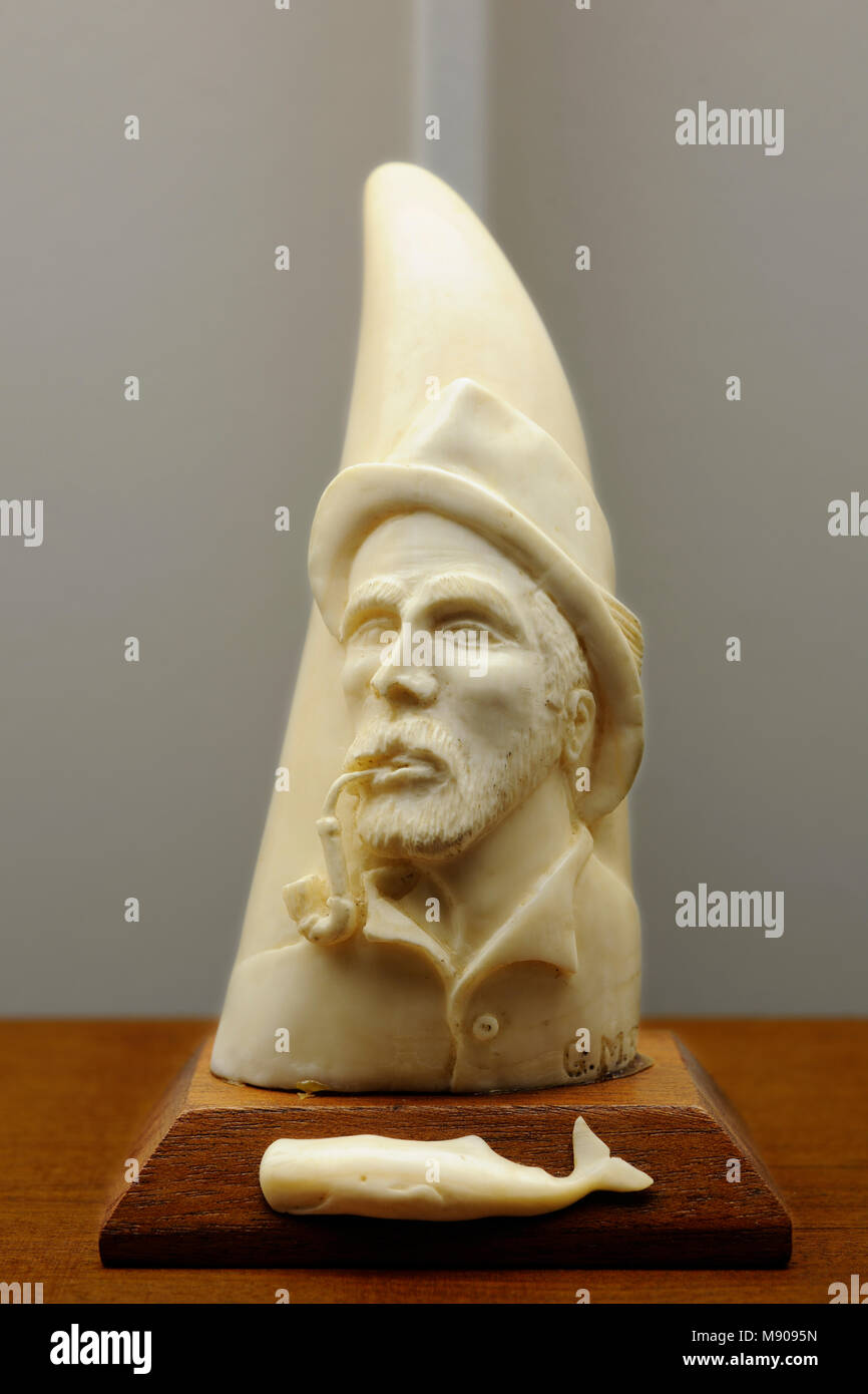 Scrimshaw (sperm whale tooth) engraving by Gualter Barreto. Museu dos ...