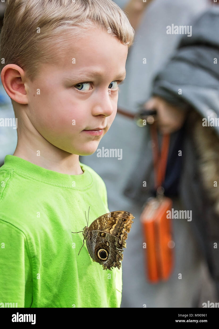 Blue Butterfly Boy High Resolution Stock Photography and Images - Alamy