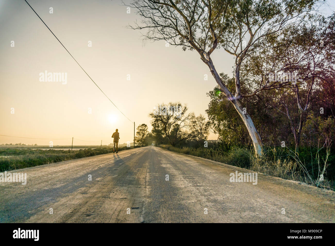 Straight dirt road hi-res stock photography and images - Alamy