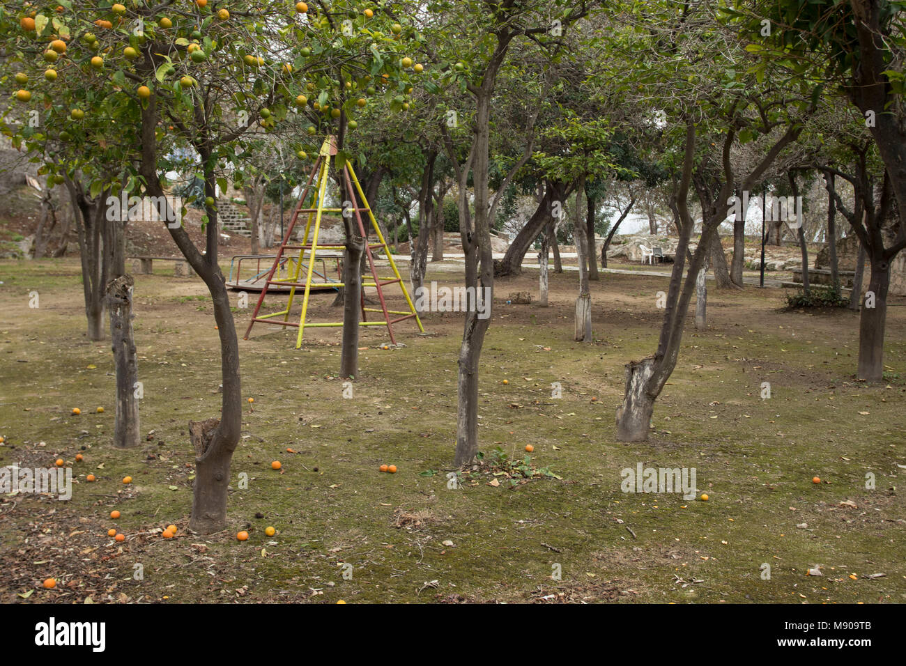 Paphos municipal park hi-res stock photography and images - Alamy