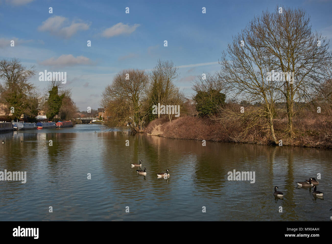 River Lea, Hertfordshire, England Stock Photo - Alamy