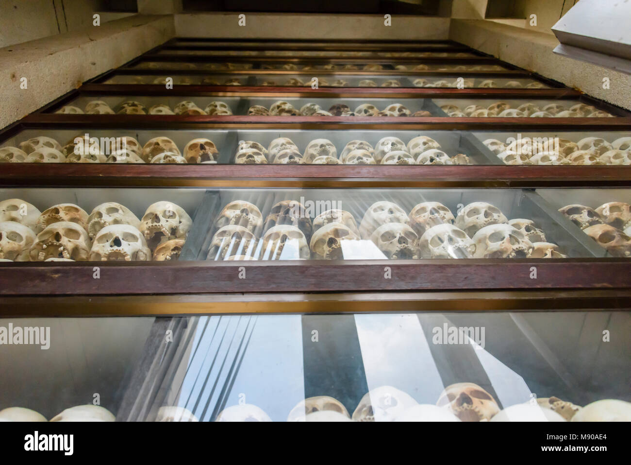 Skulls killed animals hi-res stock photography and images - Alamy