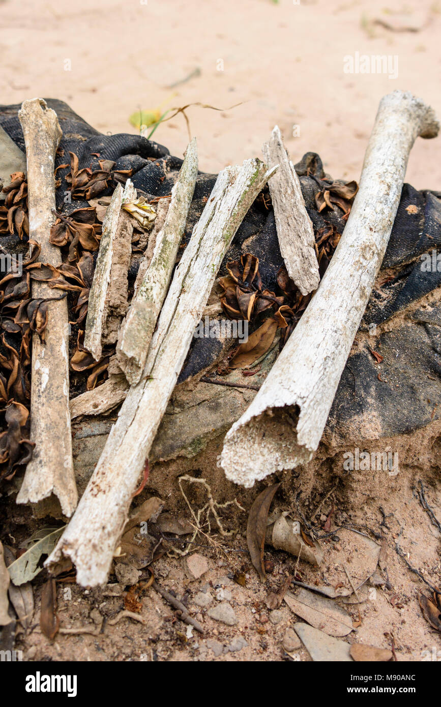 Burial of execution victims hi-res stock photography and images - Alamy