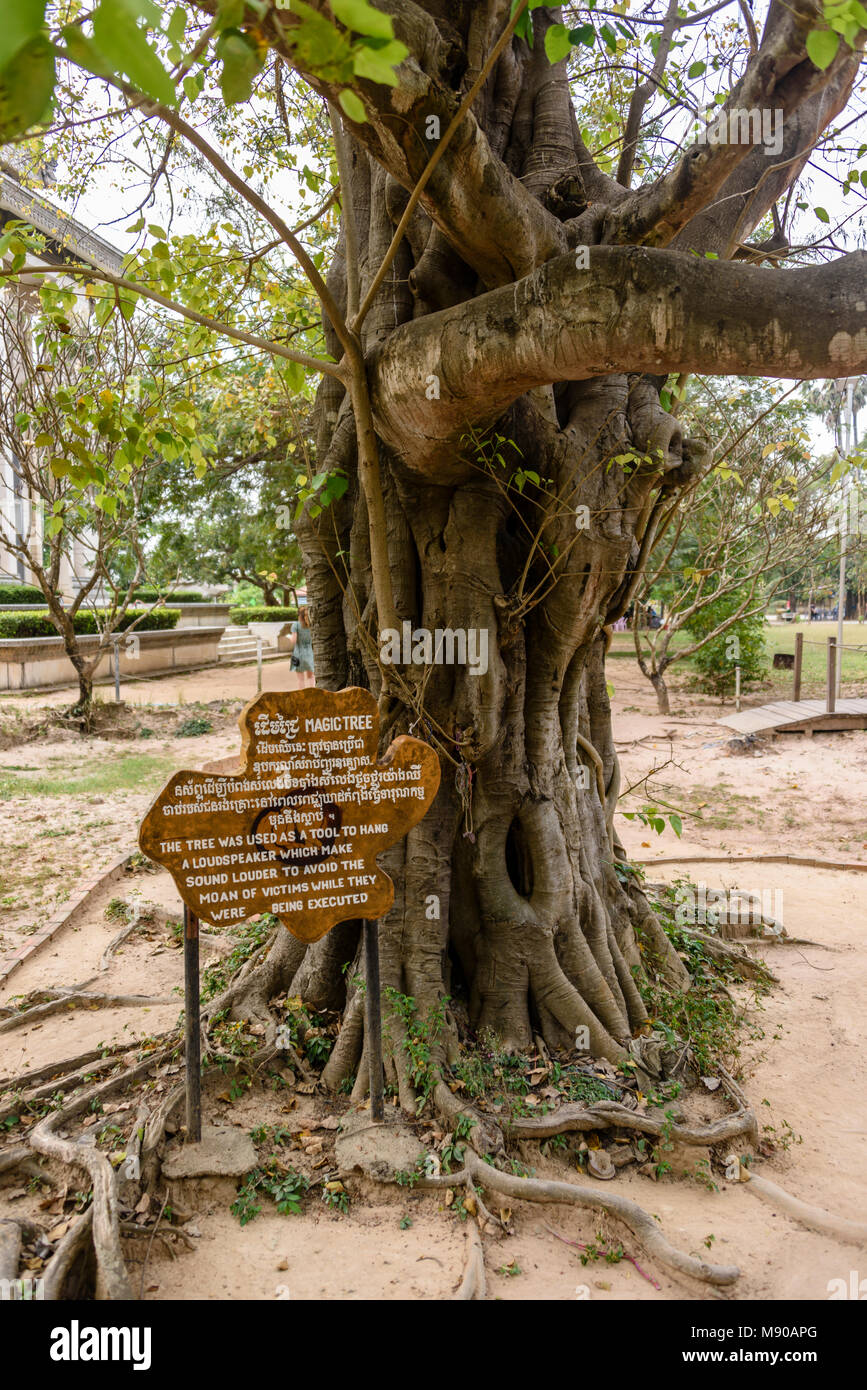 Tree which had loudspeakers mounted, to drown out the sound of ...