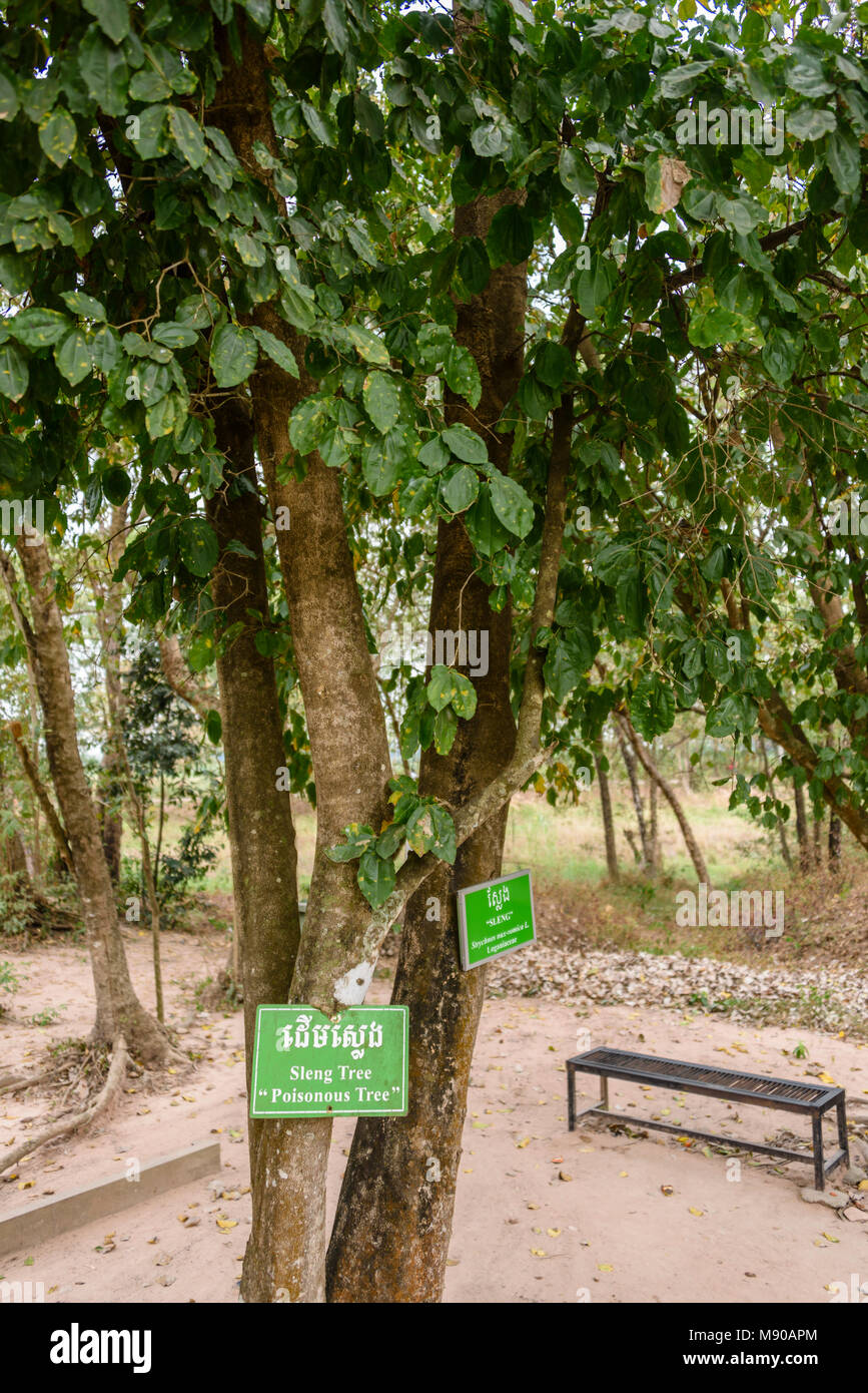 Strychnos hi-res stock photography and images - Alamy