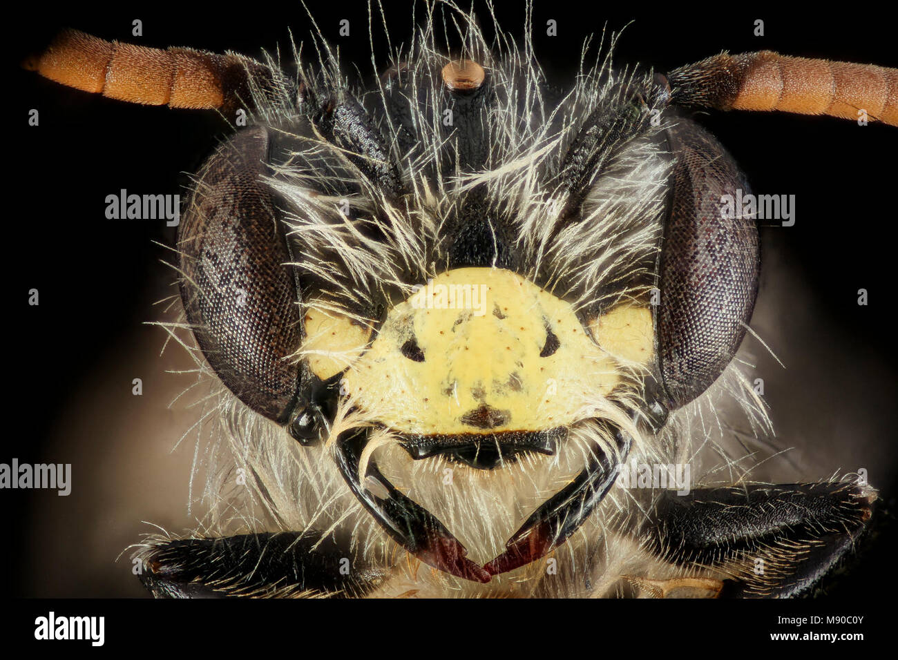 Nida hi res hi-res stock photography and images - Alamy