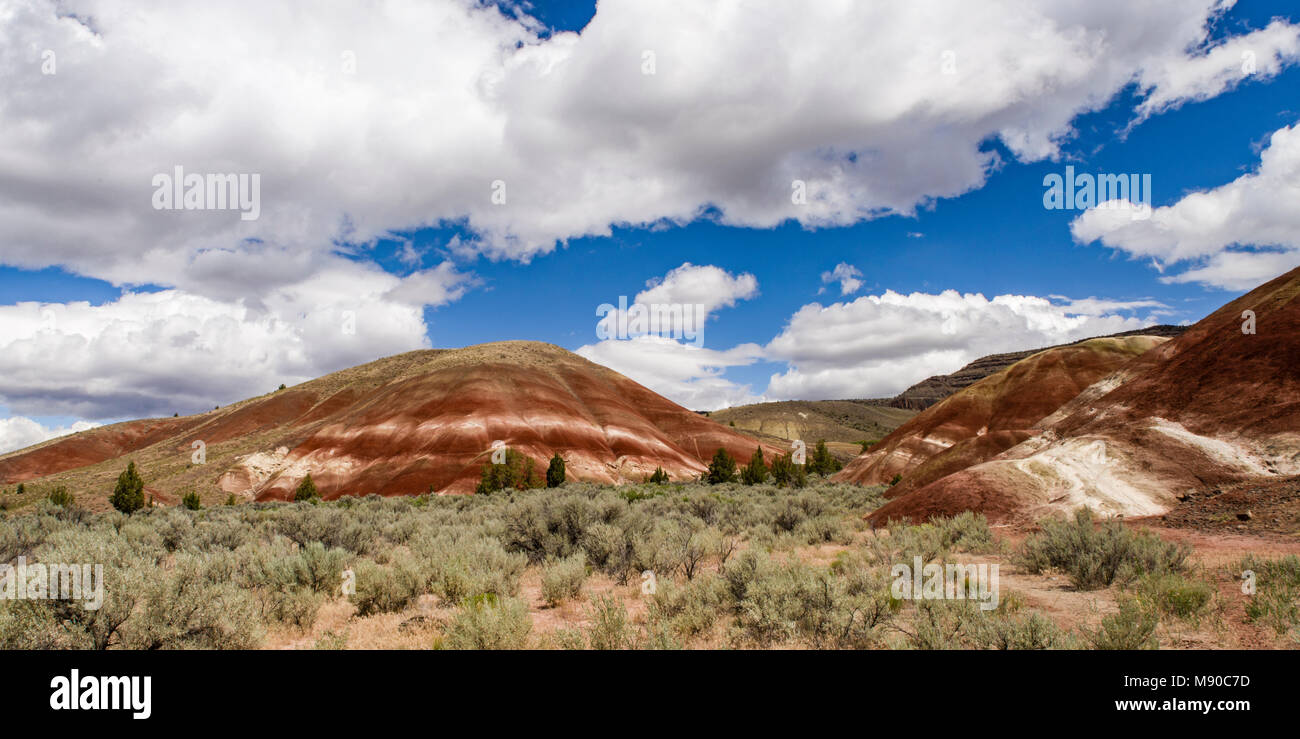 The Painted Hills of Oregon show colors created by different layers of ...