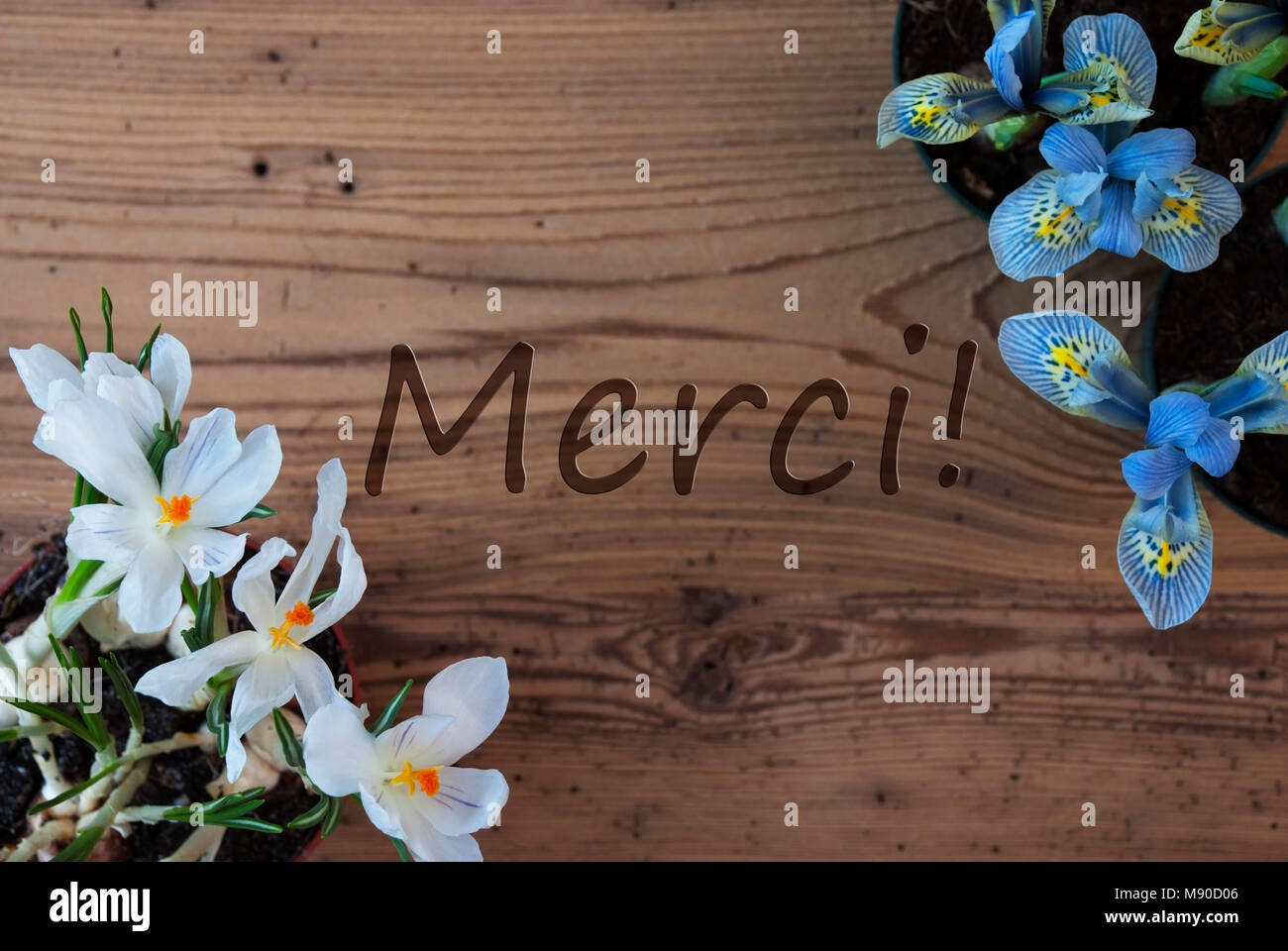 Wooden Background With French Text Merci Means Thank You. Spring ...
